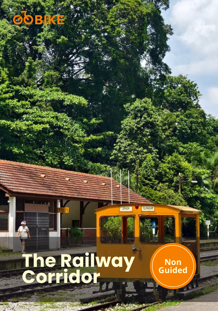 The Railway Corridor Trail: Singapore’s Green Spine, Rediscovered on ...