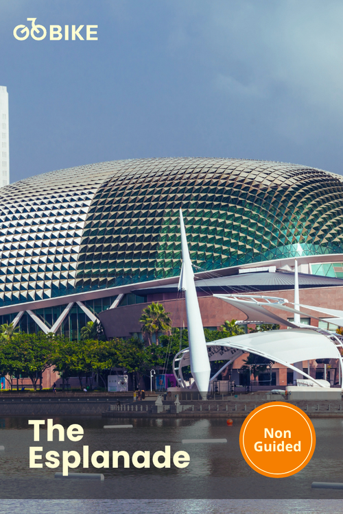 Curated Cycling Experiences for Tourists, Locals & Teams. - GoBike